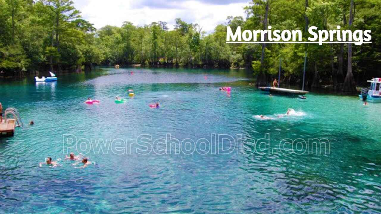 Morrison Springs: Your Guide to Florida’s Natural Wonder - PowerSchool Disd