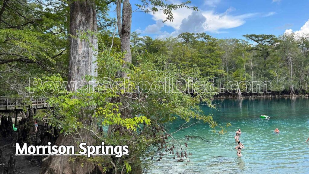 Morrison Springs: Your Guide to Florida’s Natural Wonder - PowerSchool Disd